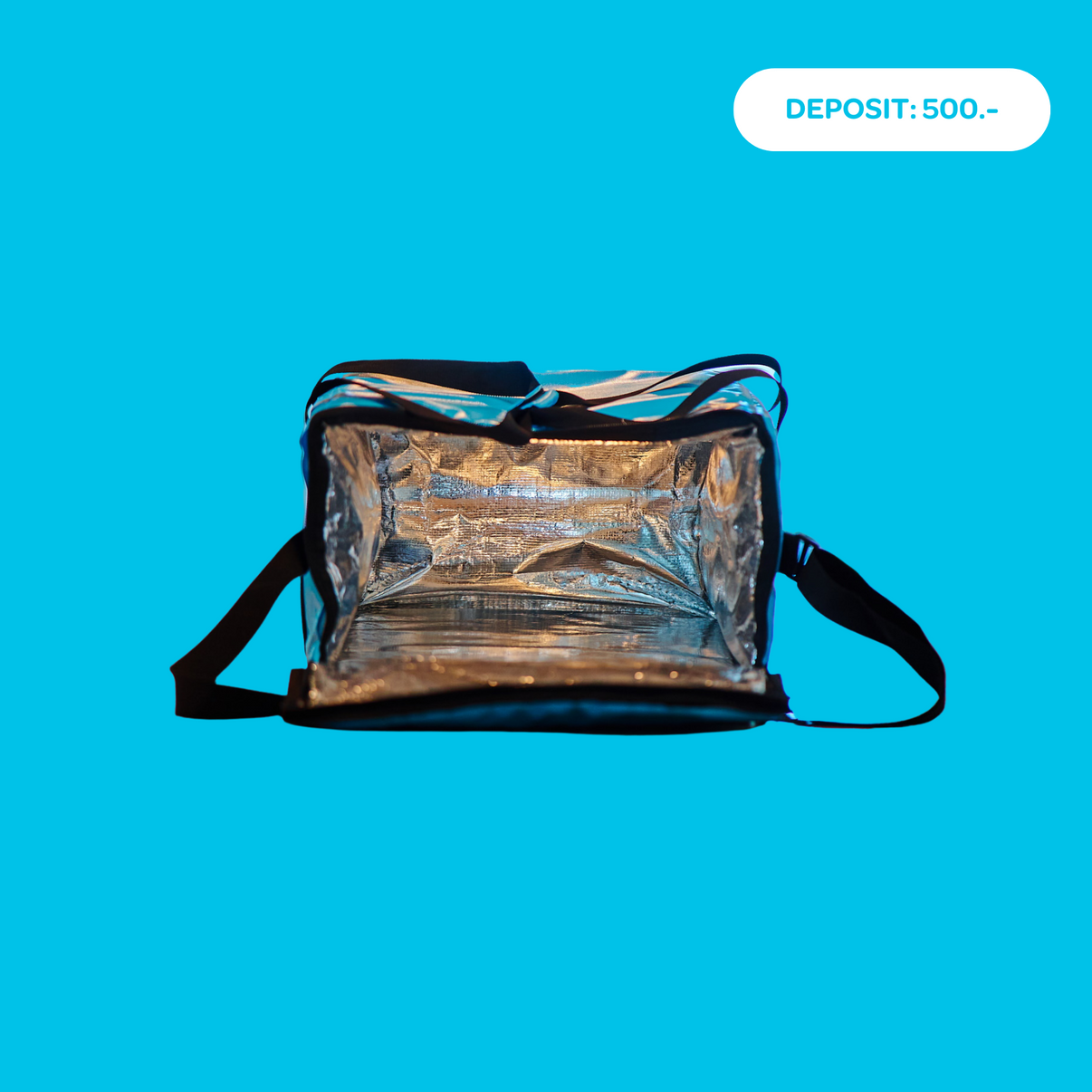 Car bag – Wolt Partners Norway